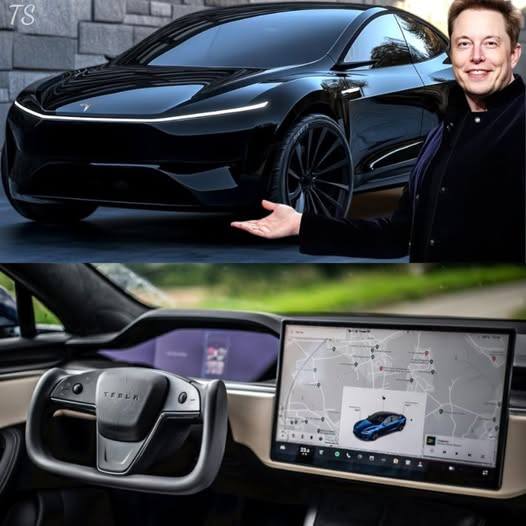 Elon Musk Announces 2025 Tesla Model Q for UNDER $15,779: Everything ...